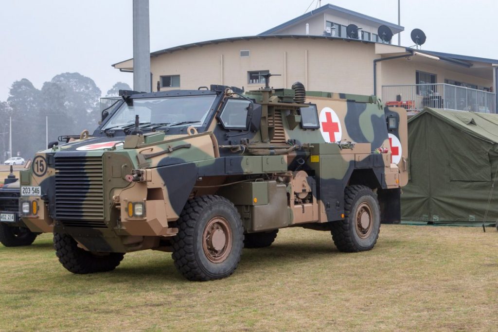 Нідерланди доотримали перші Bushmaster