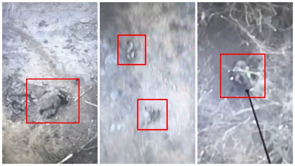 Assault detachments of Russia defeated in Krasna Hora area - Militarnyi