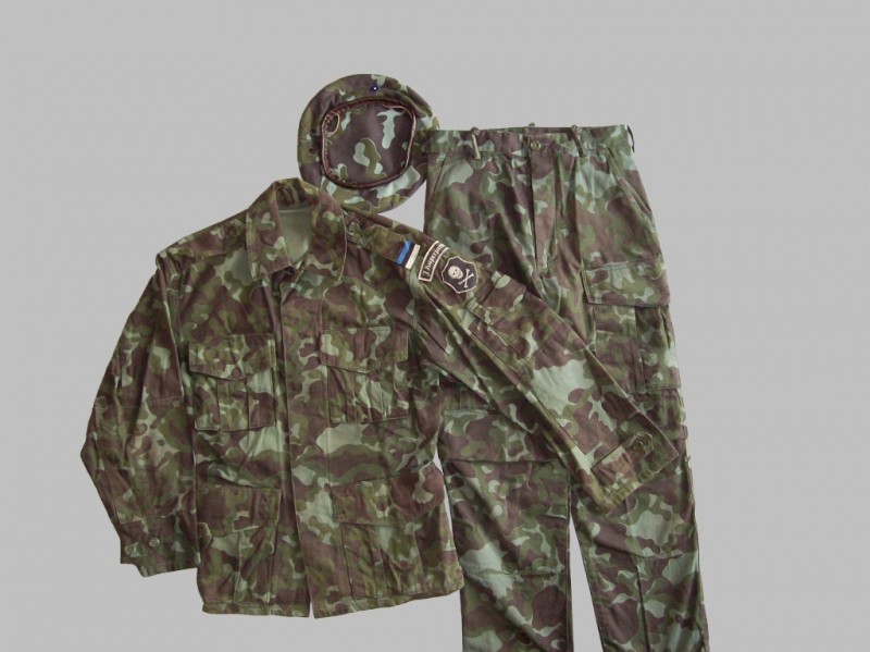 Camouflage of the Ukrainian army: from "Butan" to ММ-14 - Militarnyi