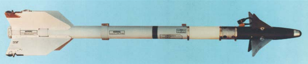 Venomous rattlesnake: AIM-9 Sidewinder - Militarnyi