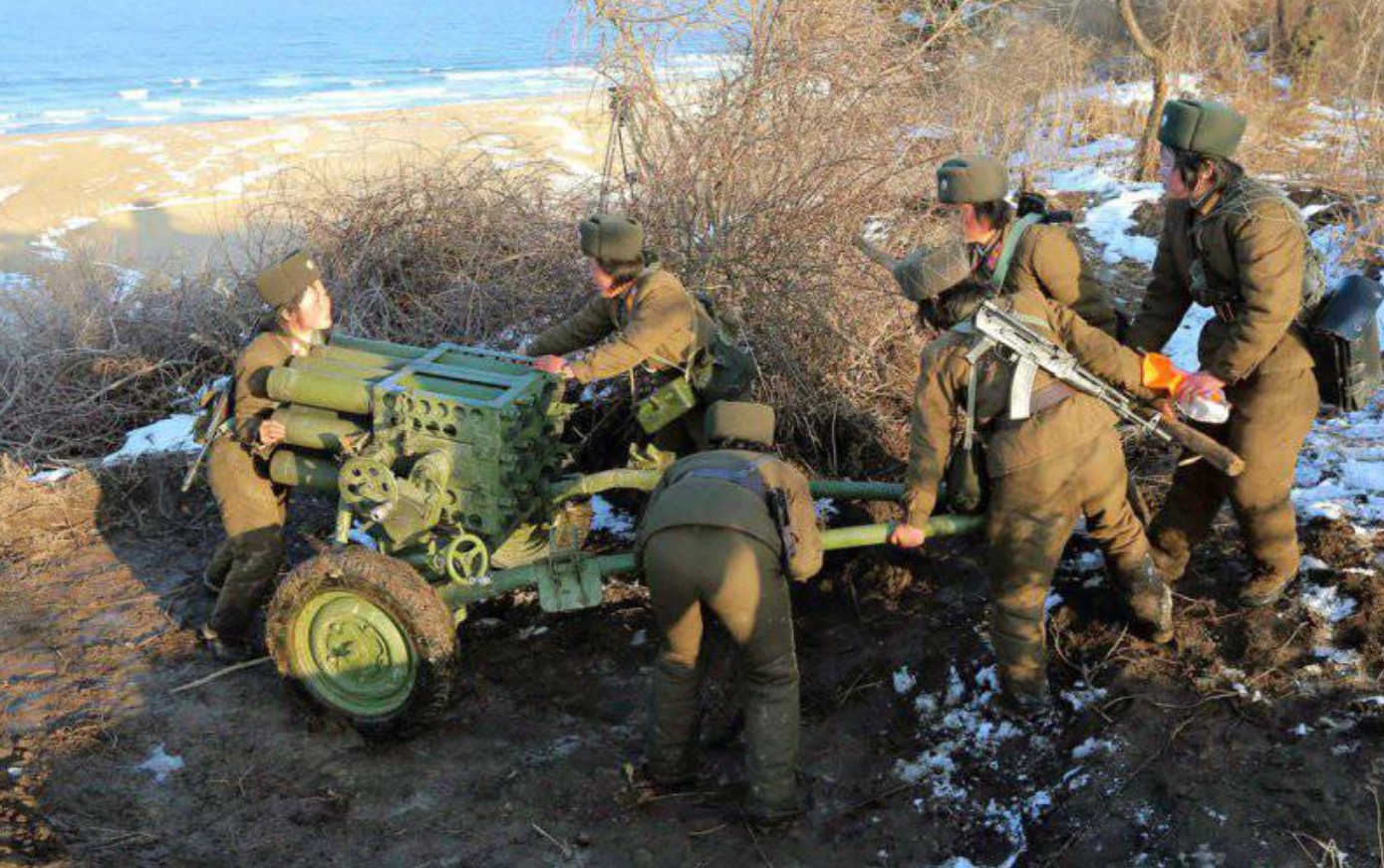 DPRK rocket artillery as a prospect for Russia