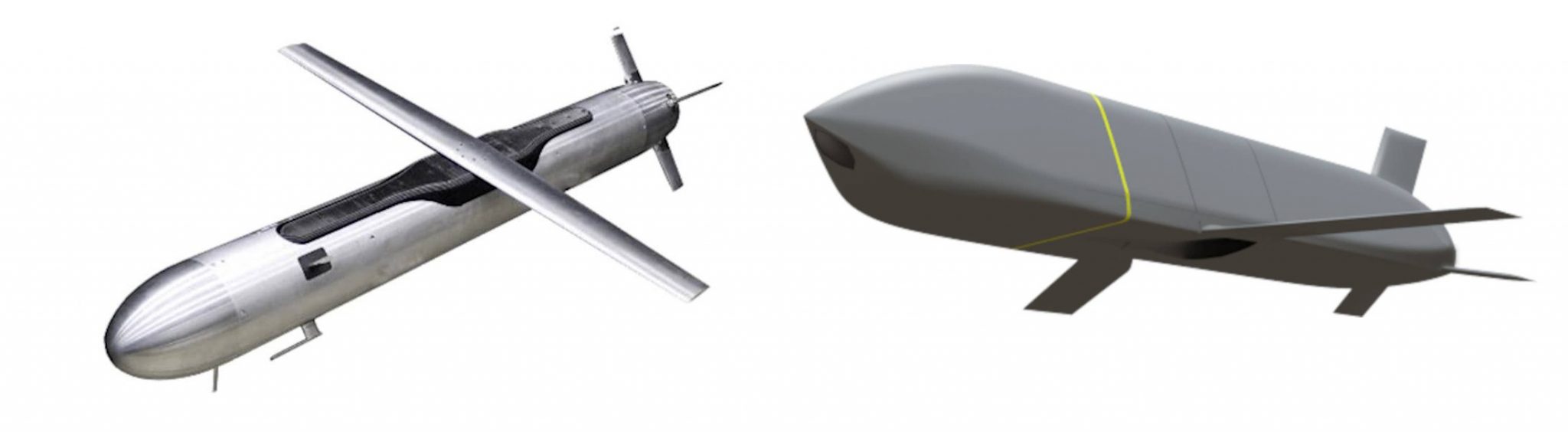 U.S. Advances Development of Ultra-Low-Cost Cruise Missile - Militarnyi