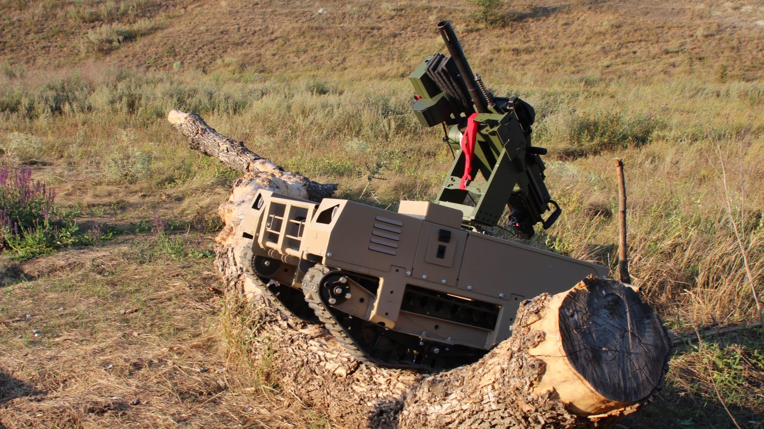 Burya RWS and TerMIT tracked platform combined into a single combat ...