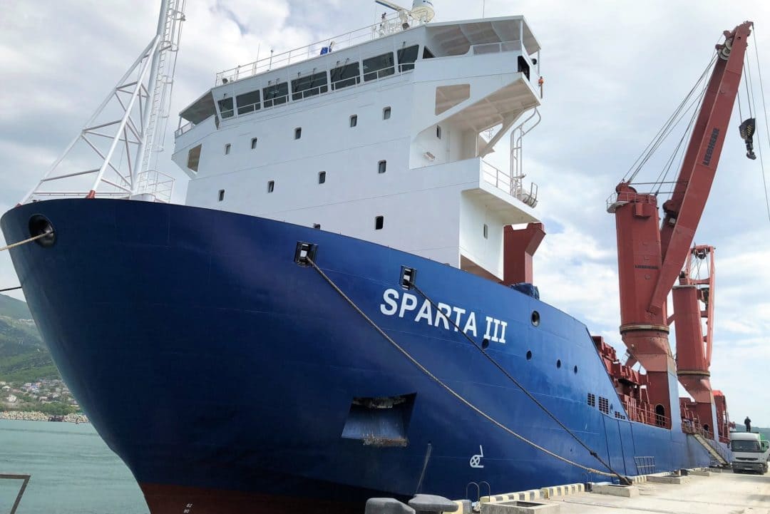 A Russian bulk carrier known for carrying weapons sinks off the coast ...